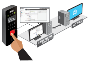 COSEC Time-Attendance Integration with Third Party Software - Matrix Comsec